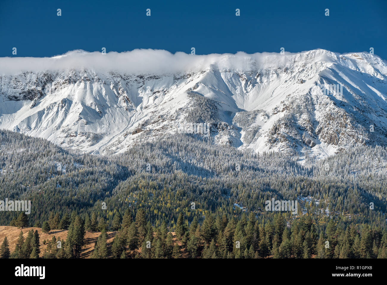Fresh snow on Chief Joseph Mountain, Wallowa Mountains, Oregon Stock ...
