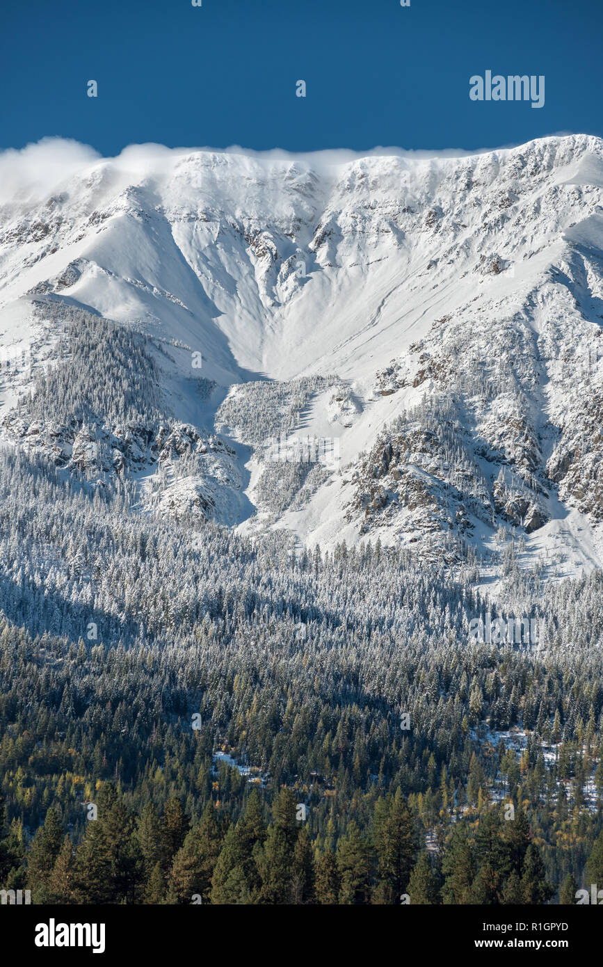 Fresh snow on Chief Joseph Mountain, Wallowa Mountains, Oregon Stock ...