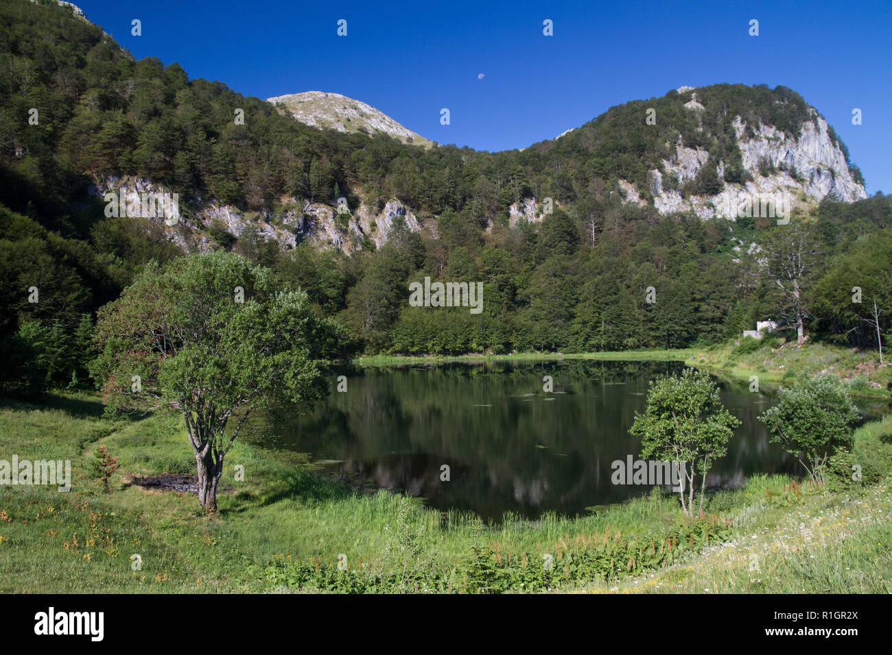 Donje bare lake, Sutjeska national park in Bosnia and Herzegovina ...