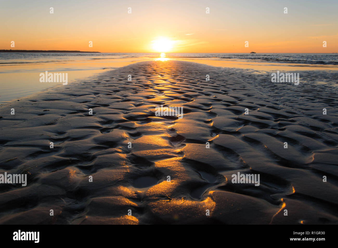 Seafloor hi-res stock photography and images - Alamy