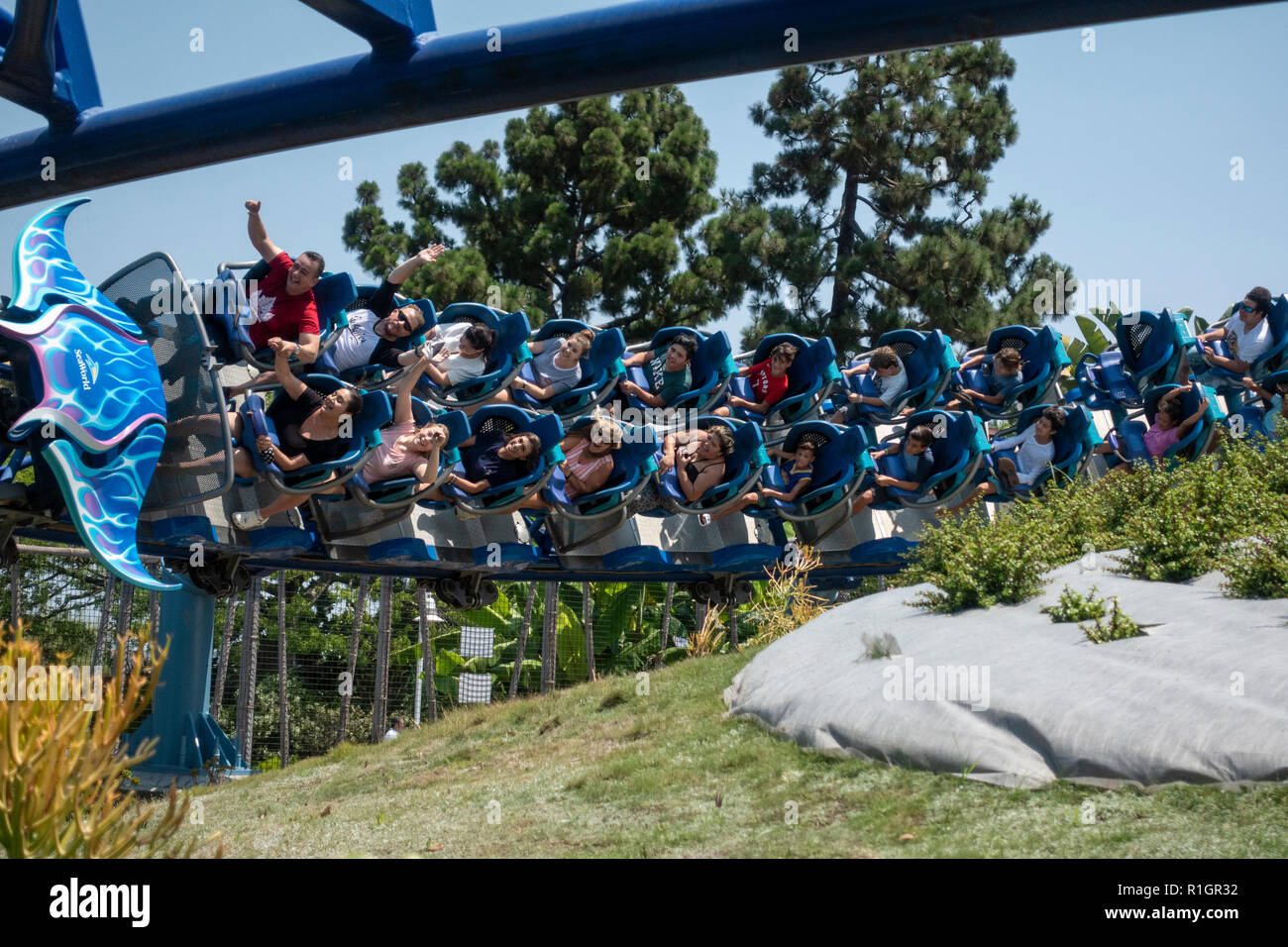 Riders on the Manta roller coaster ride take a bend in in SeaWorld San ...
