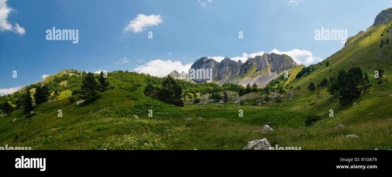 Velika pleca hill Sutjeska national park in Bosnia and Herzegovina ...