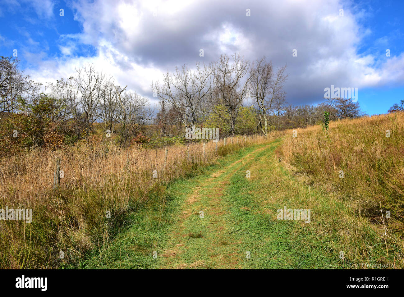 Mountainous Landscape of State park in VA Stock Photo - Alamy