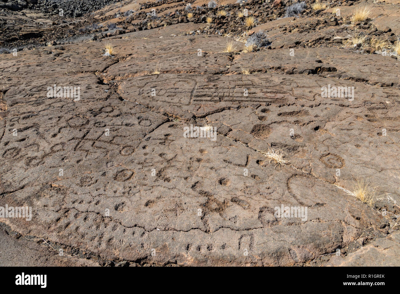Polynesian art ancient hi-res stock photography and images - Alamy