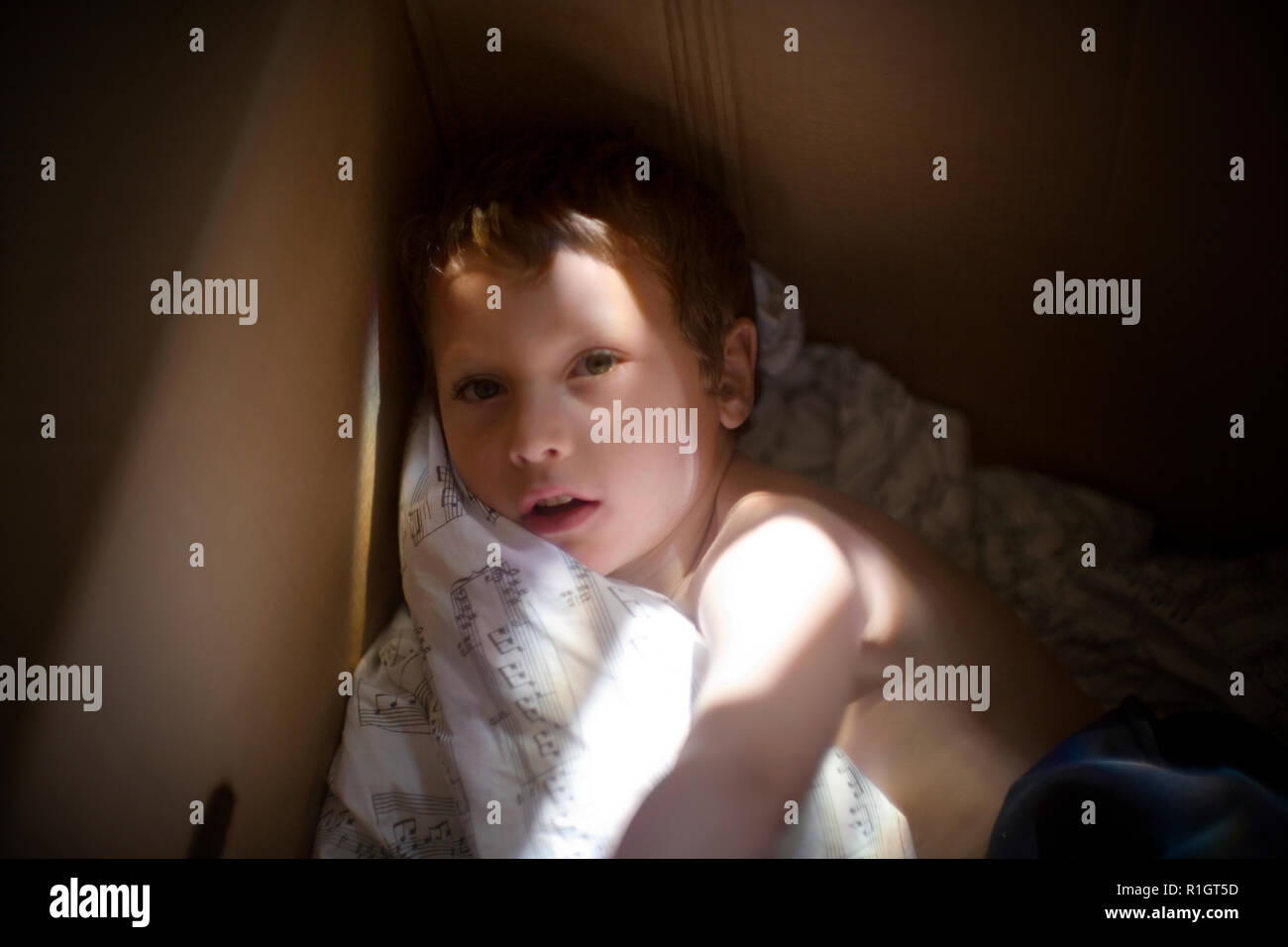 Portrait of a young boy sitting inside a box Stock Photo - Alamy