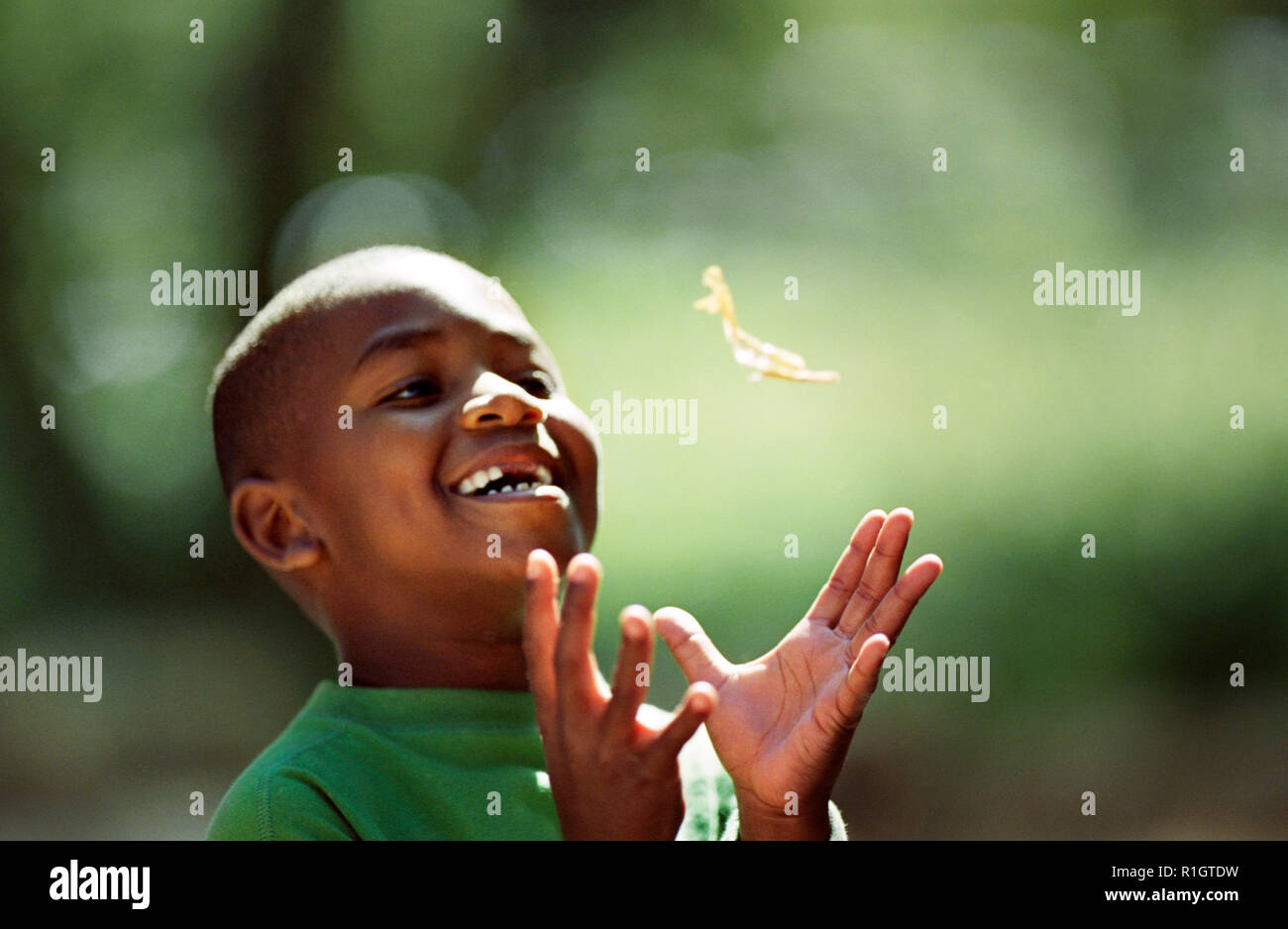 Little boy catching falling leaf Stock Photo - Alamy