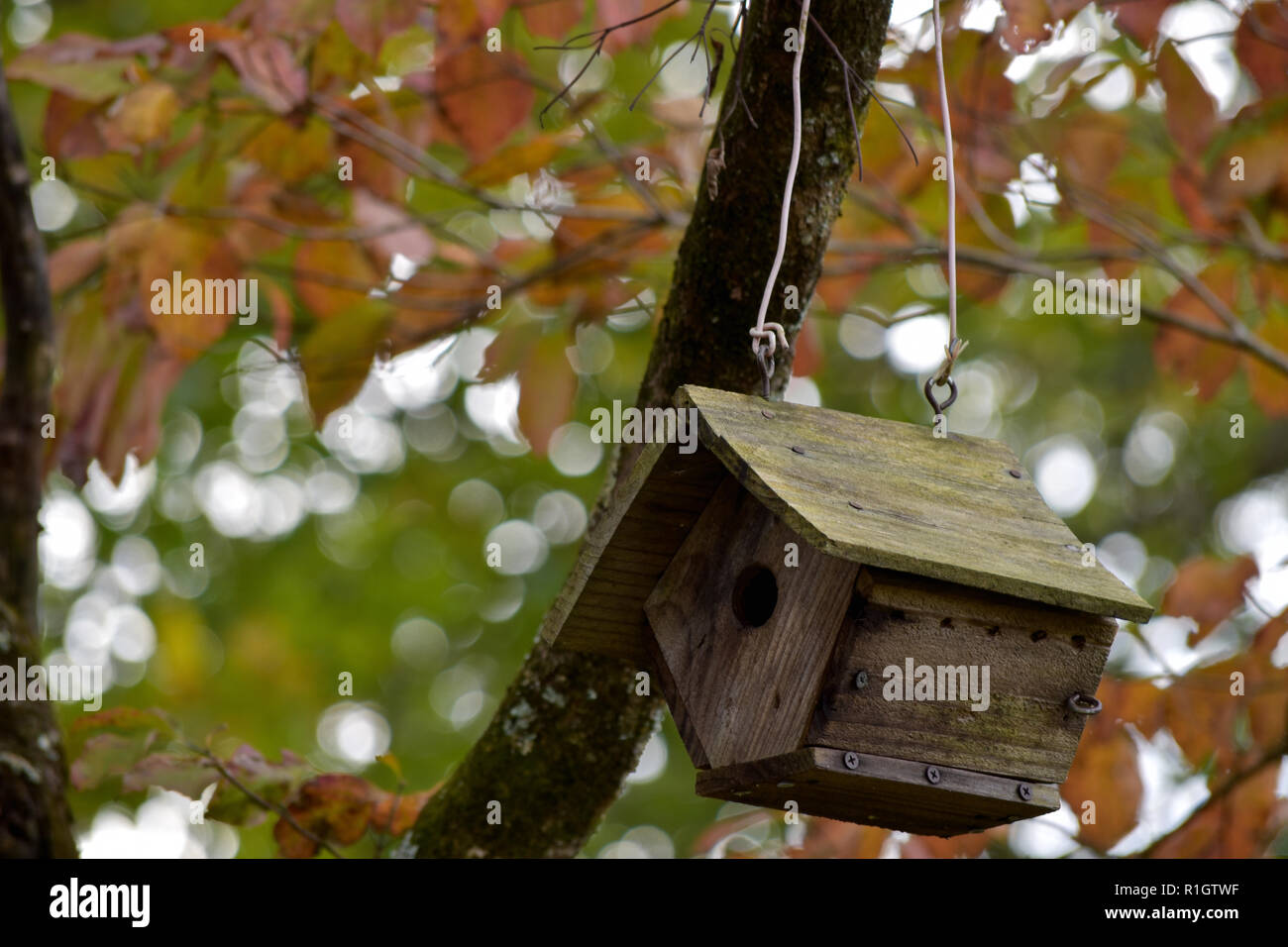Birdhouse carolina hi-res stock photography and images - Alamy