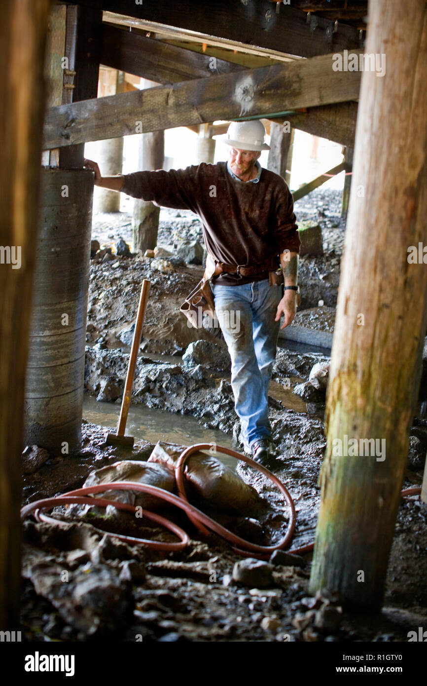 Mature male construction worker standing in a building site Stock Photo ...