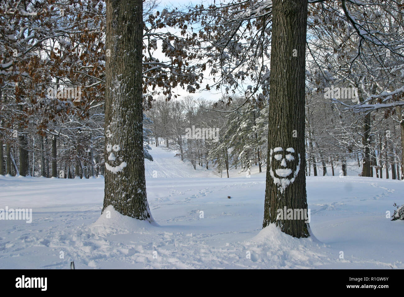 Trees with faces hi-res stock photography and images - Alamy