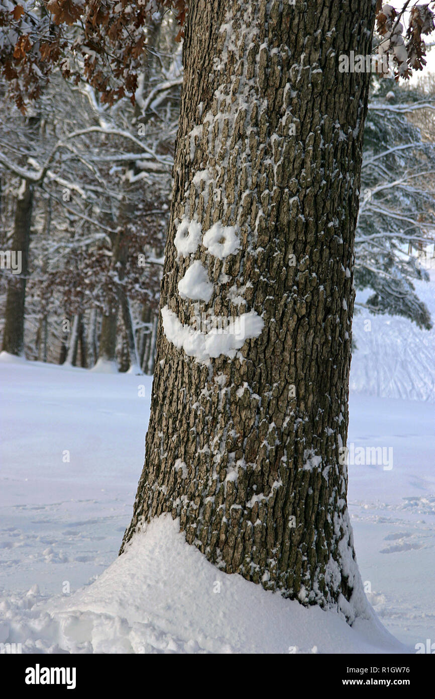 A happy oak tree with a face made of snow stands before a snowy hill ...