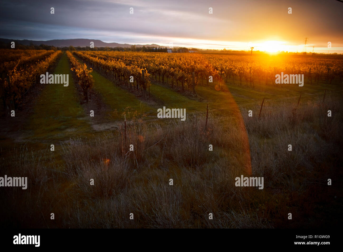 Vast outdoor setting hi-res stock photography and images - Alamy