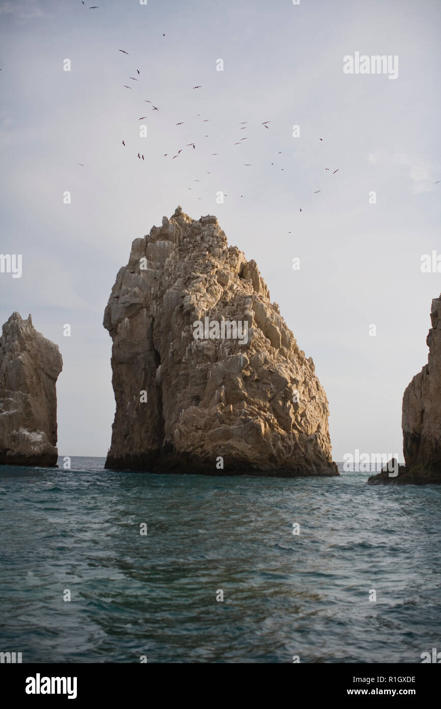 Birds circling rock formation protruding from the sea Stock Photo - Alamy