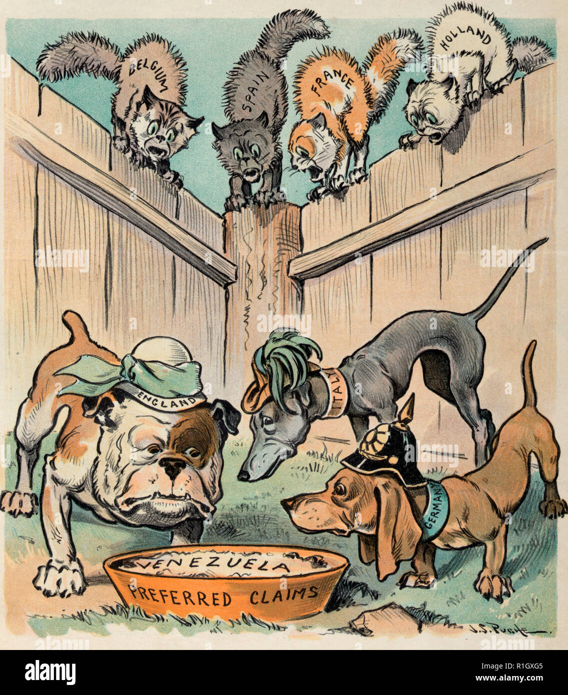 Greyhound dog cartoon illustration hi-res stock photography and images ...