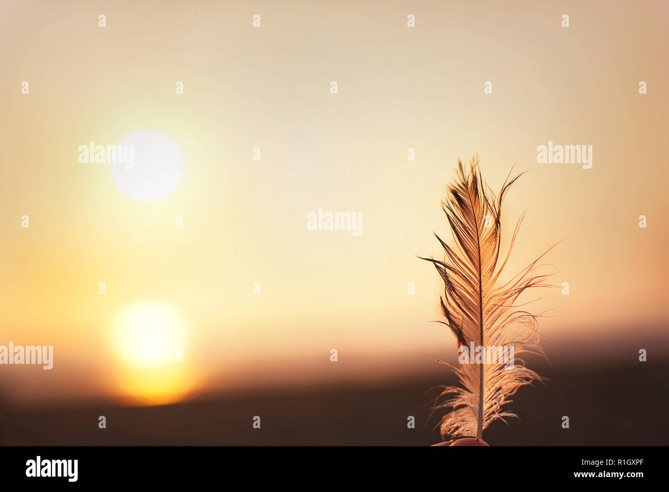 Single white feather held up against the horizon at sunset Stock Photo ...