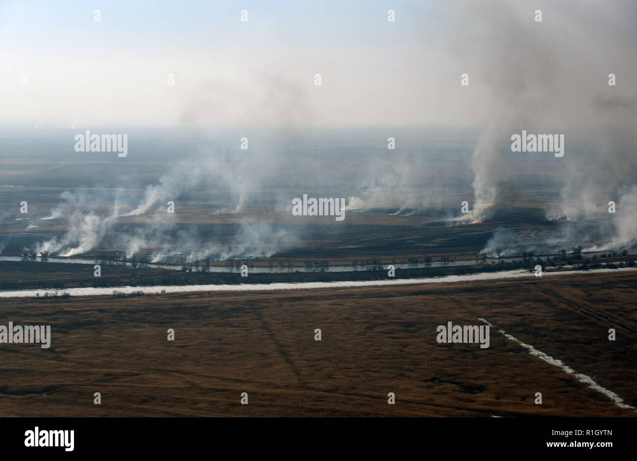 The wildfire or wildland fire in the steppe area of the Volga Delta ...
