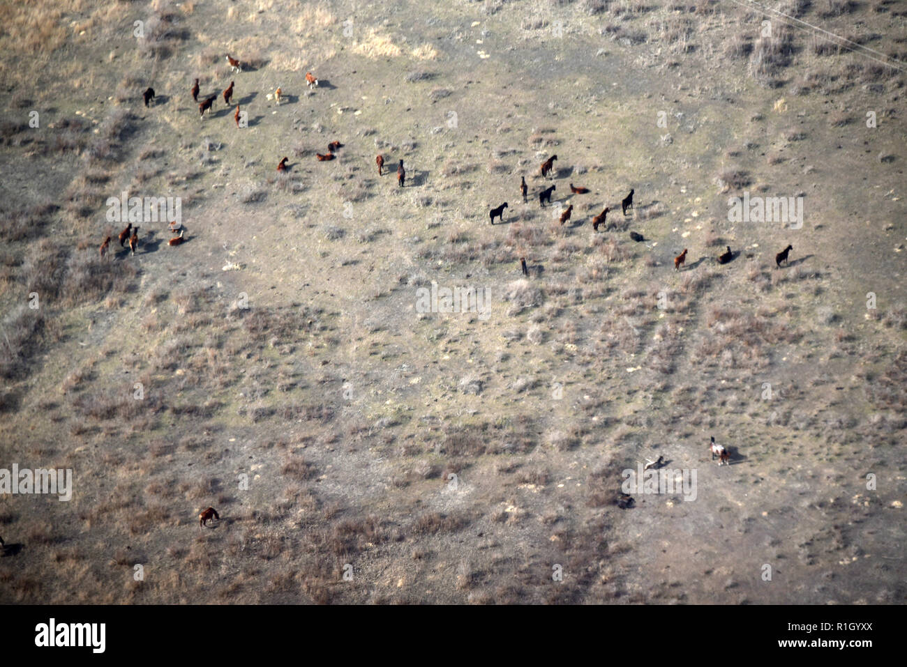 Russian steppe aerial view at the Volga Delta of Astrakhan region ...