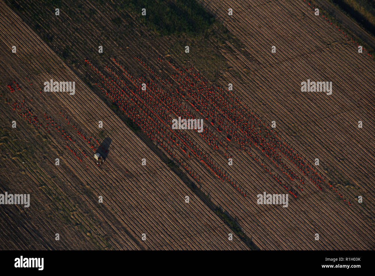 Russian steppe aerial view at the Volga Delta of Astrakhan region ...