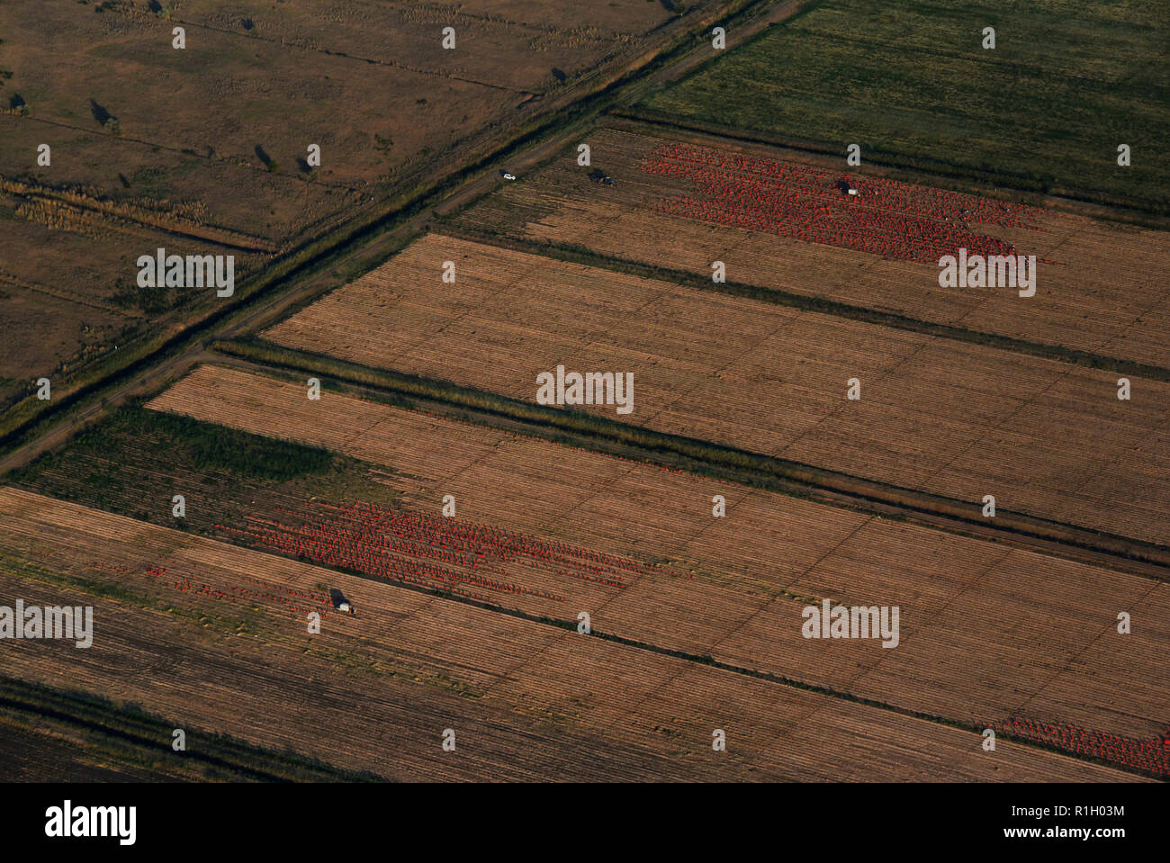 Russian steppe aerial view at the Volga Delta of Astrakhan region ...