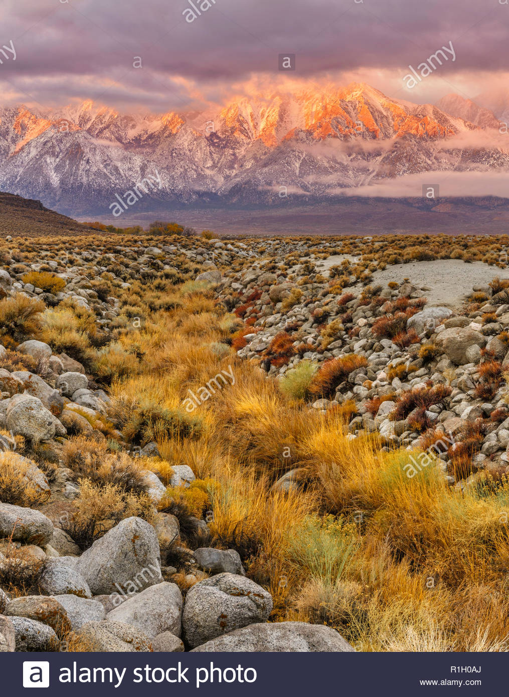 Mount Williamson High Resolution Stock Photography and Images - Alamy