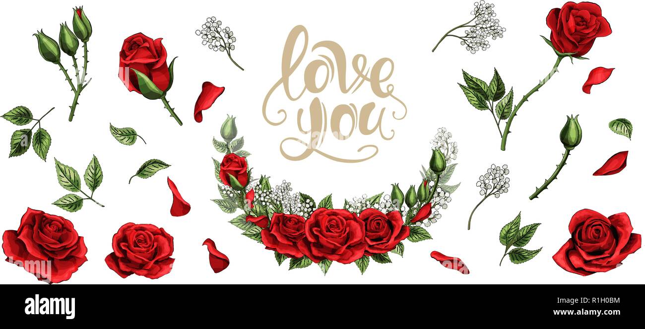 Red roses hand drawn illustration elements colored set Stock Vector ...