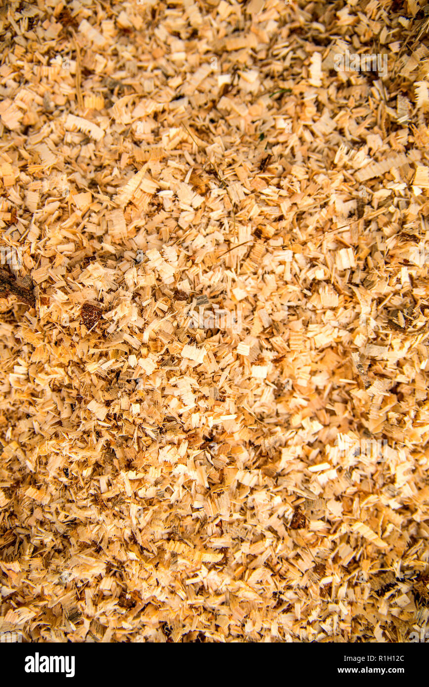sawdust on a forest floor Stock Photo - Alamy