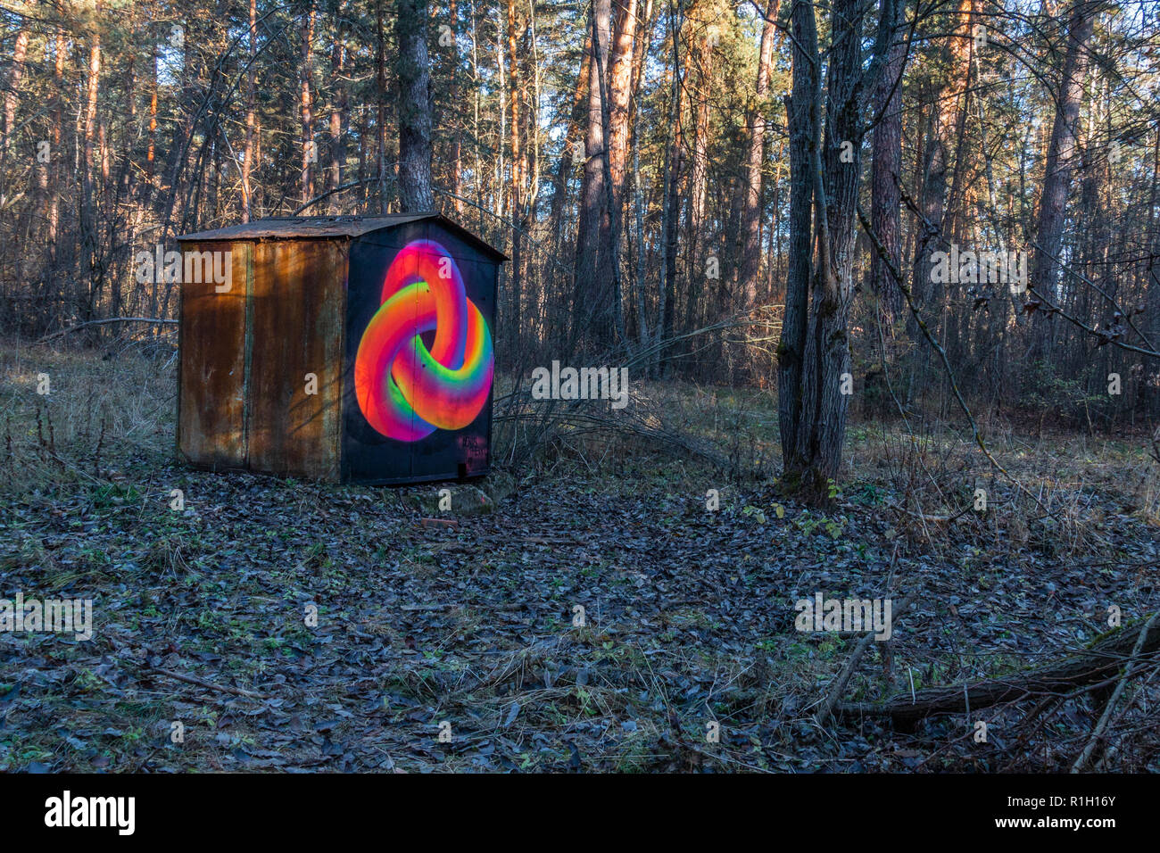 Graffiti on a shed in the woods Stock Photo - Alamy