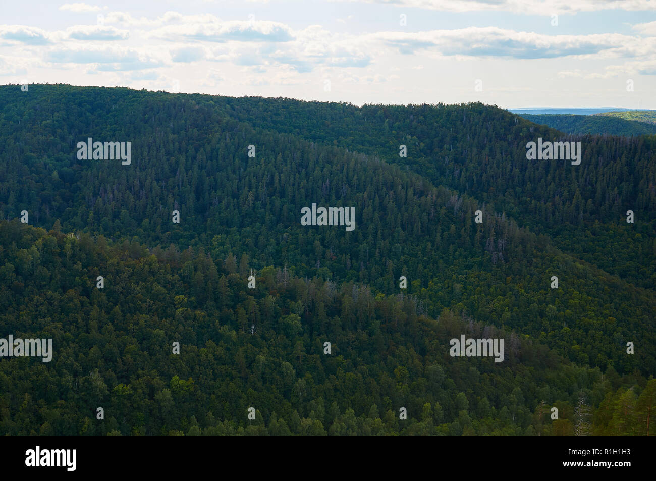 Beautiful sky over field forest hi-res stock photography and images - Alamy