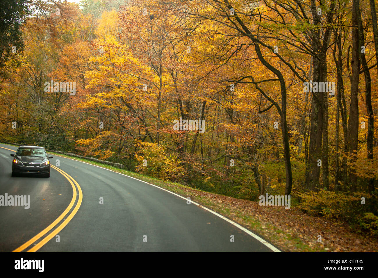 Road to smokey mountains during fall Stock Photo - Alamy