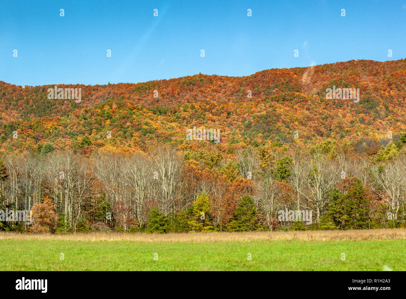 The colorful smokey mountain during fall season Stock Photo - Alamy
