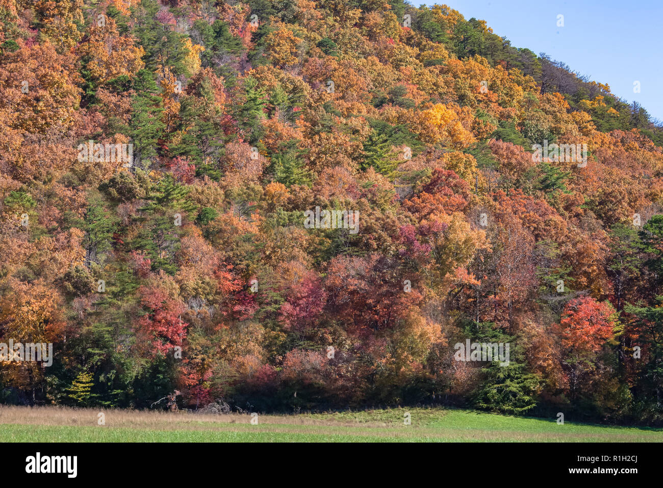 The colorful smokey mountain during fall season Stock Photo - Alamy