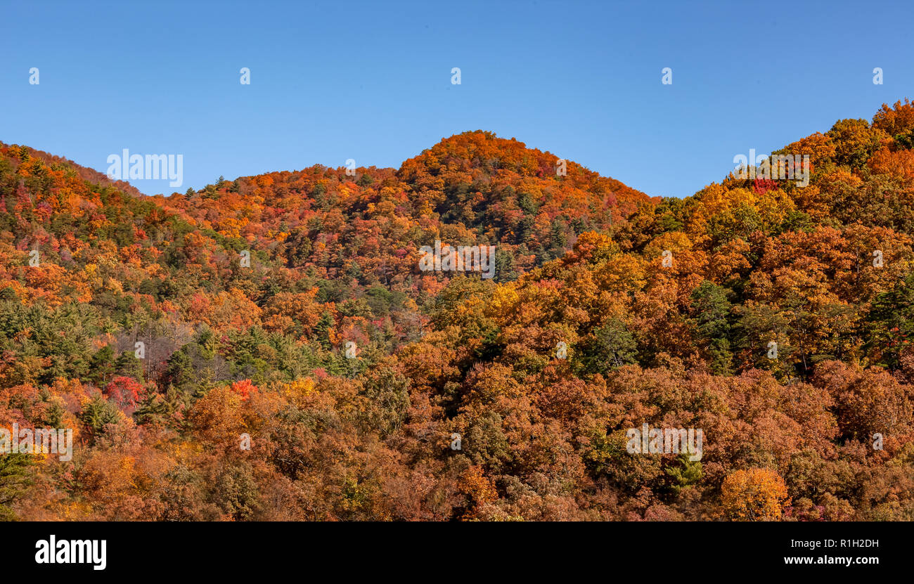The colorful smokey mountain during fall season Stock Photo - Alamy