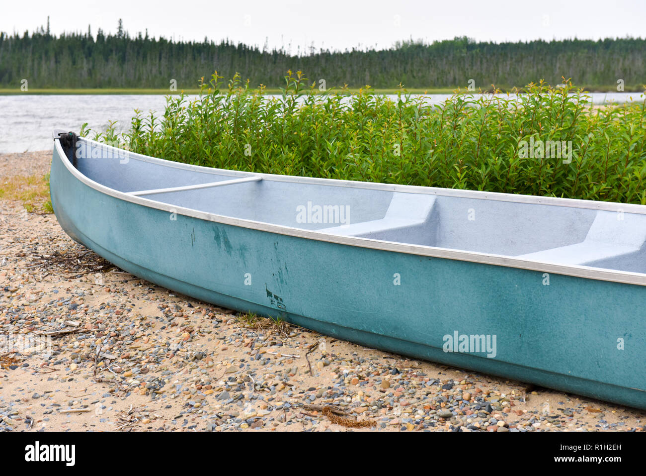 Beach , Northern Quebec, Mistassini Lake Stock Photo - Alamy