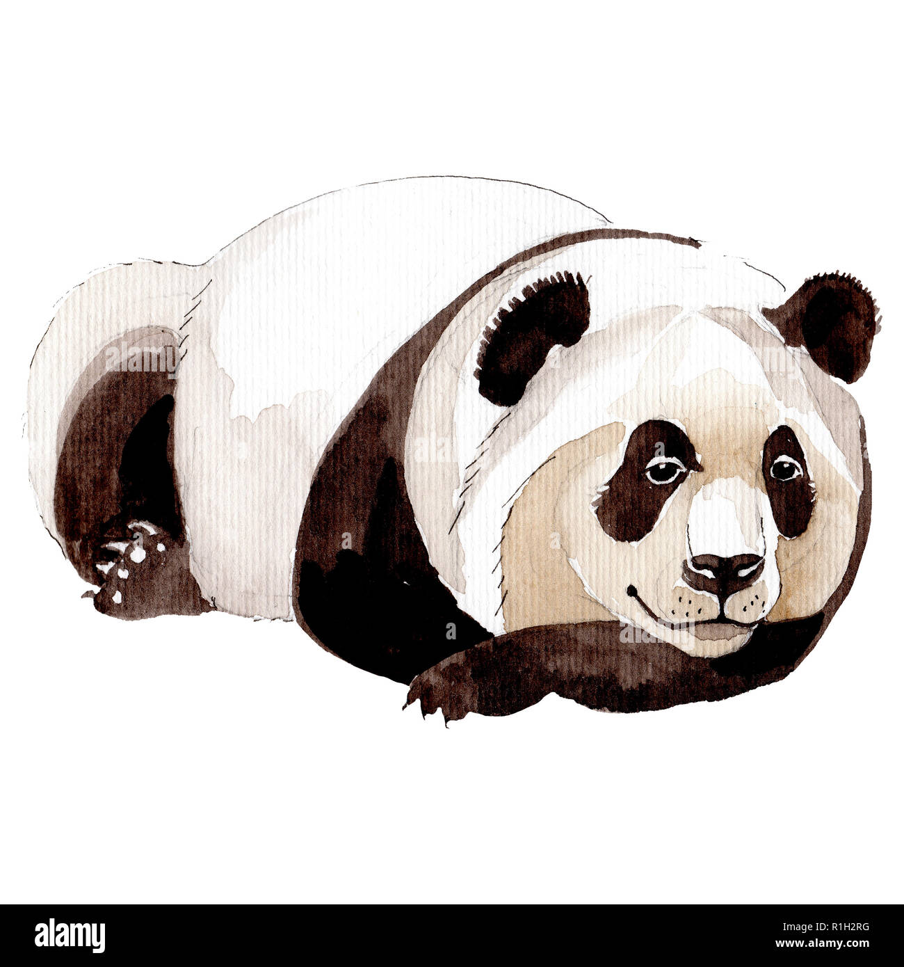 Panda Texture