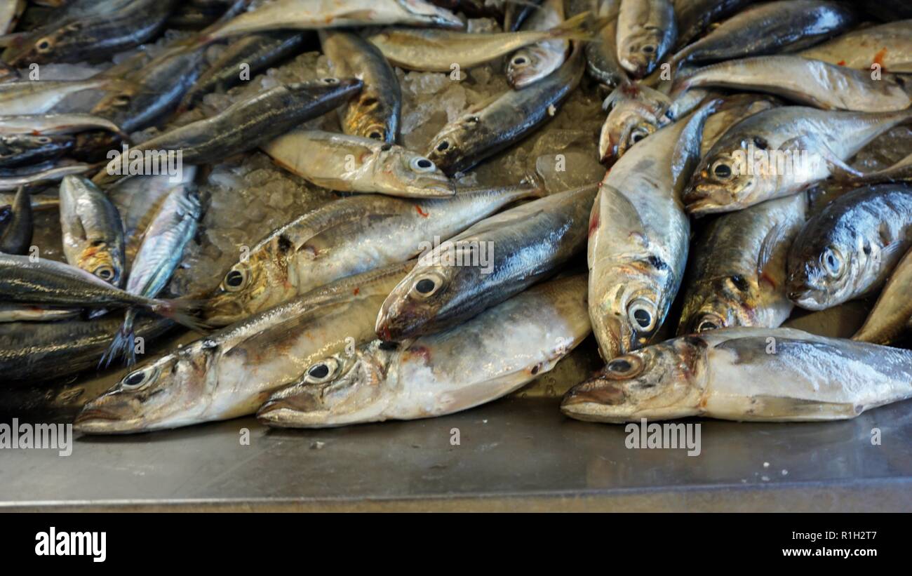 fresh fish from the local fish market of aveiro in portugal Stock Photo ...