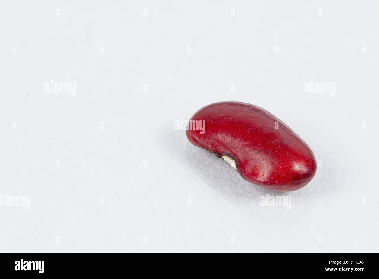 Single red kidney bean against a white background Stock Photo - Alamy