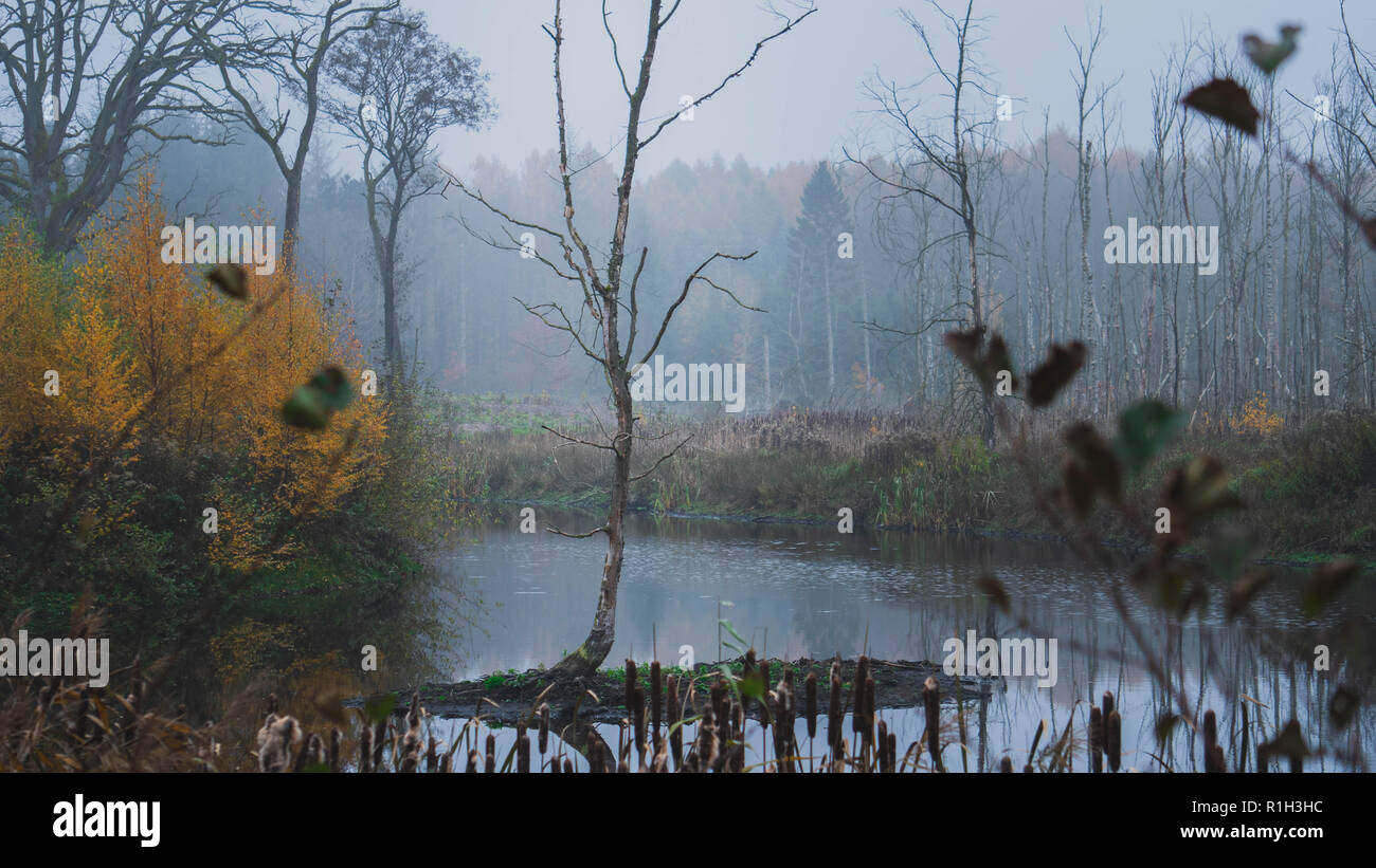 Depressing fall hi-res stock photography and images - Alamy