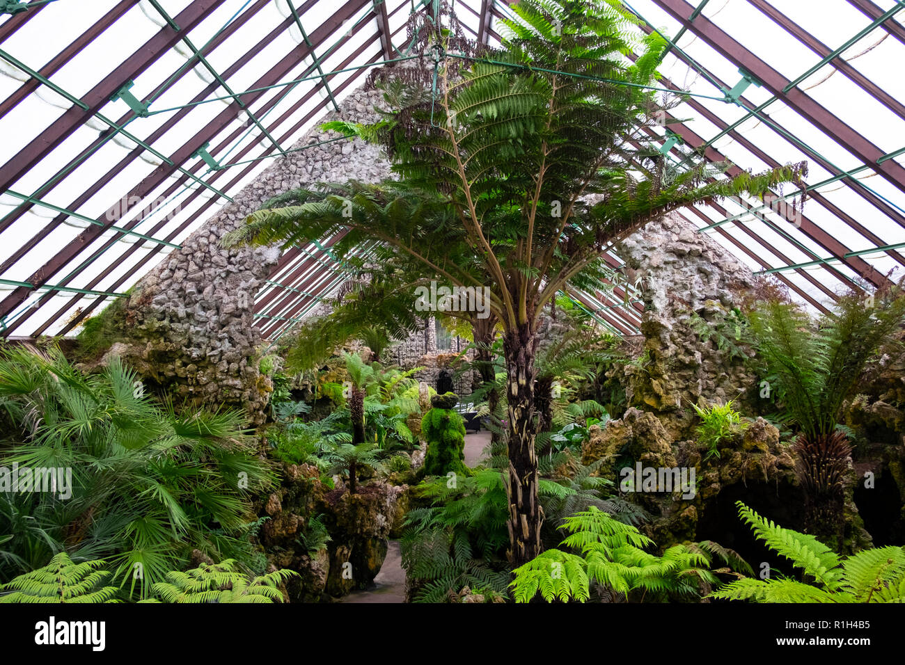 Victorian fernery at Churchtown, Southport, UK. Ferns growing in ...