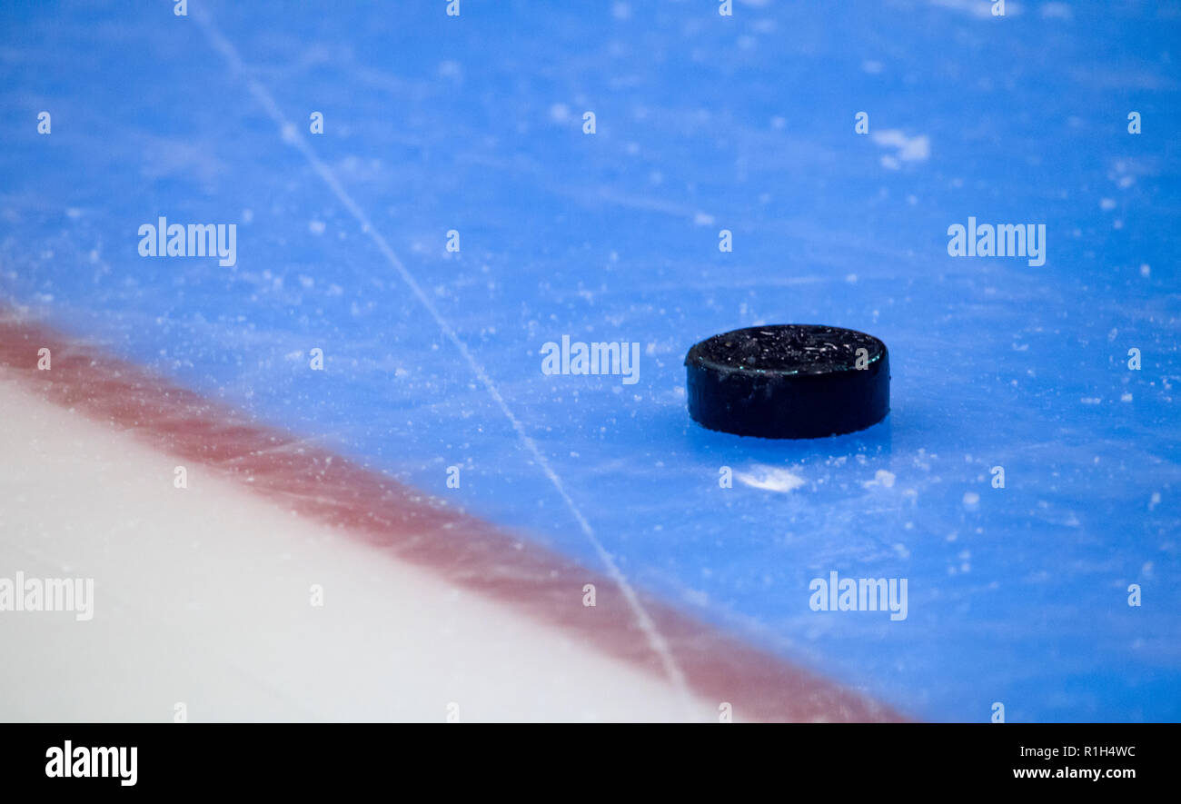 Hockey puck stand on side on goal line. Close view Stock Photo - Alamy