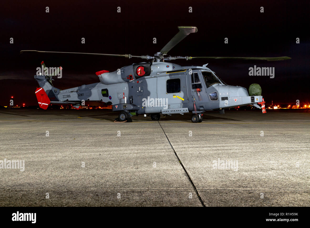 Night heron uk hi-res stock photography and images - Alamy
