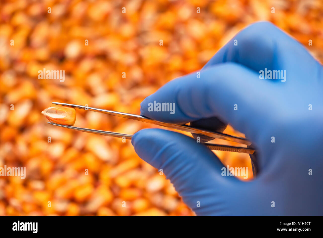 Instrument scientist hi-res stock photography and images - Alamy