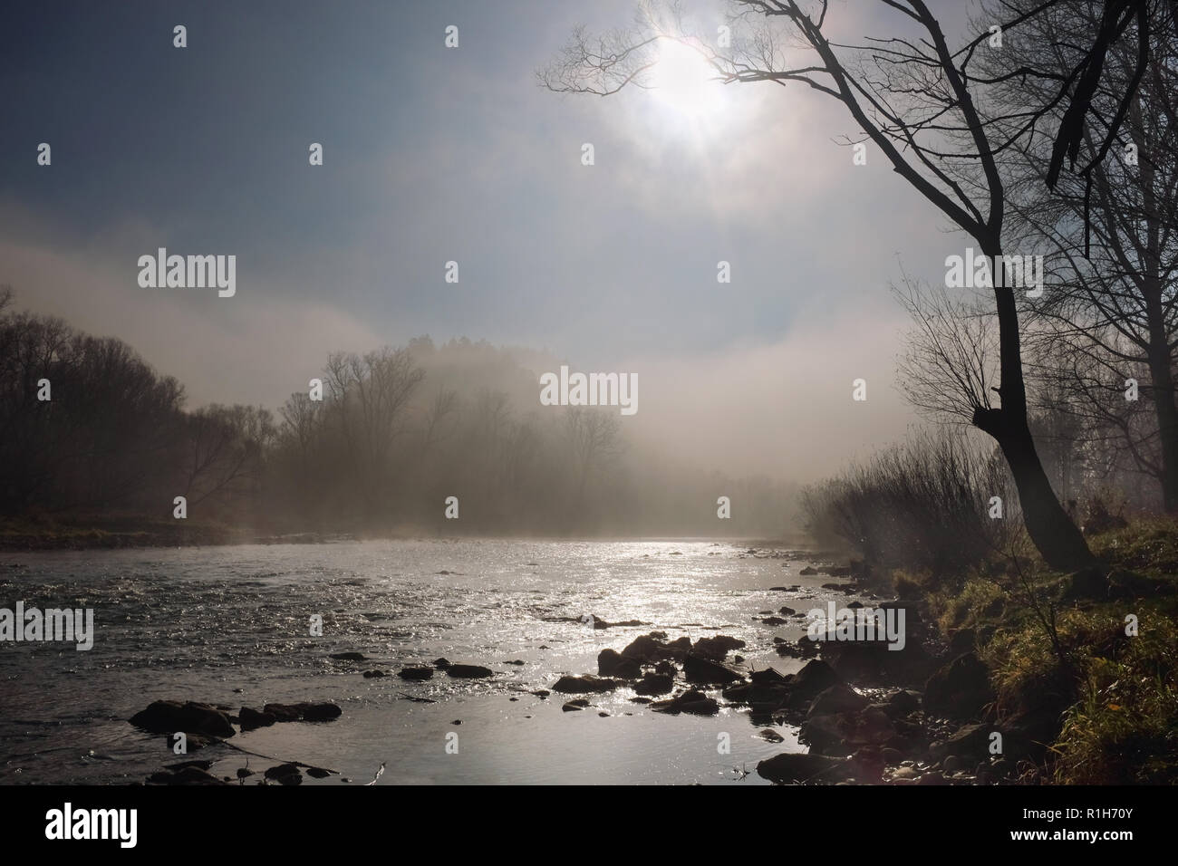 Morning sun and fog hovering over a mountain river Stock Photo - Alamy