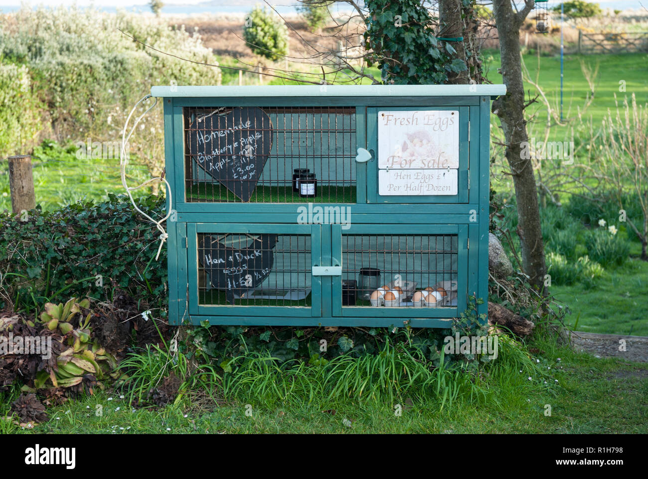 A Small Display Selling Eggs And Local Produce With An Honesty Box a-small-display-selling-eggs-and-local-produce-with-an-honesty-box