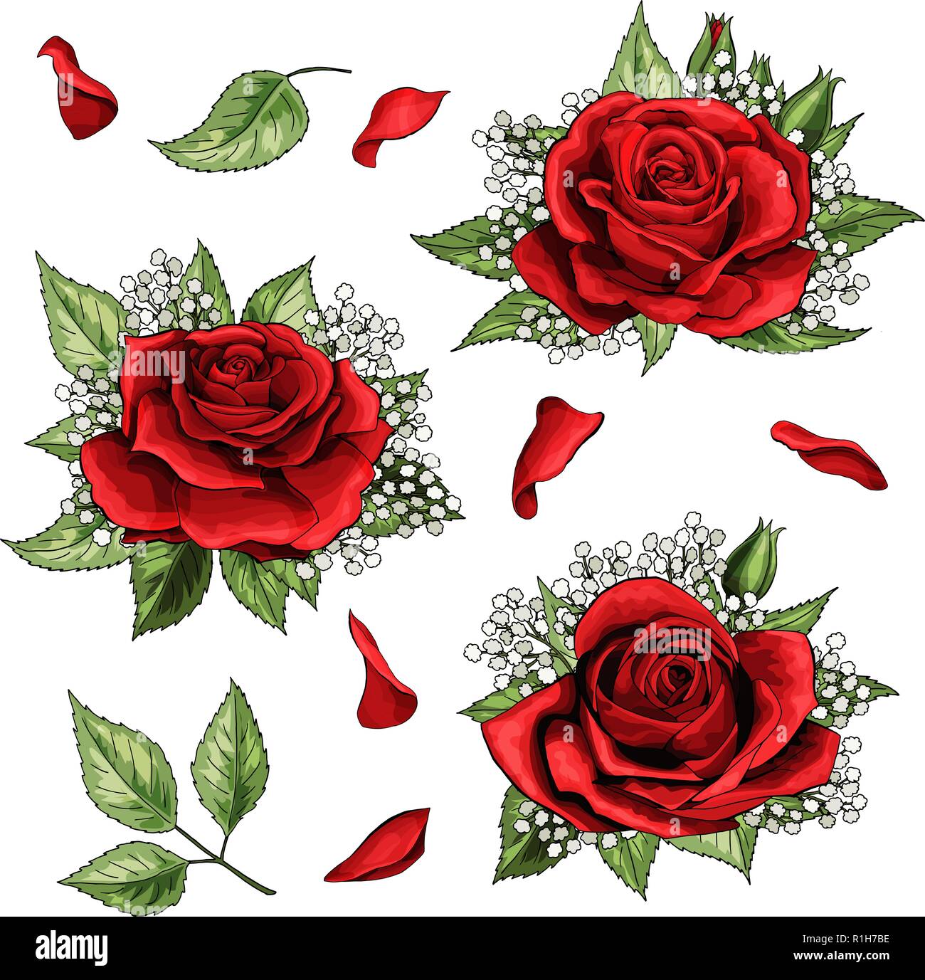 Red roses hand drawn illustration elements colored set Stock Vector ...