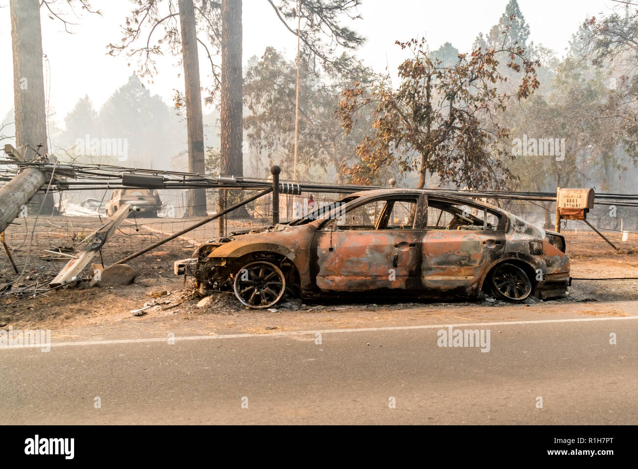 Wildland Fire Damage Firefighters Fighting Fire California Stock Photo ...