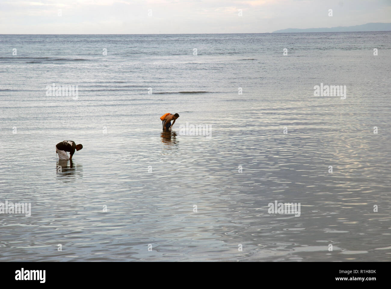 People fishing in sea, Escano Beach, Dumaguete, Negros Oriental ...