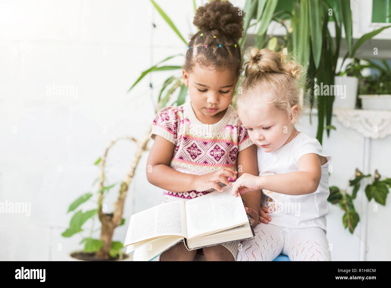 Two little girls read a book on the background of plants in pots ...