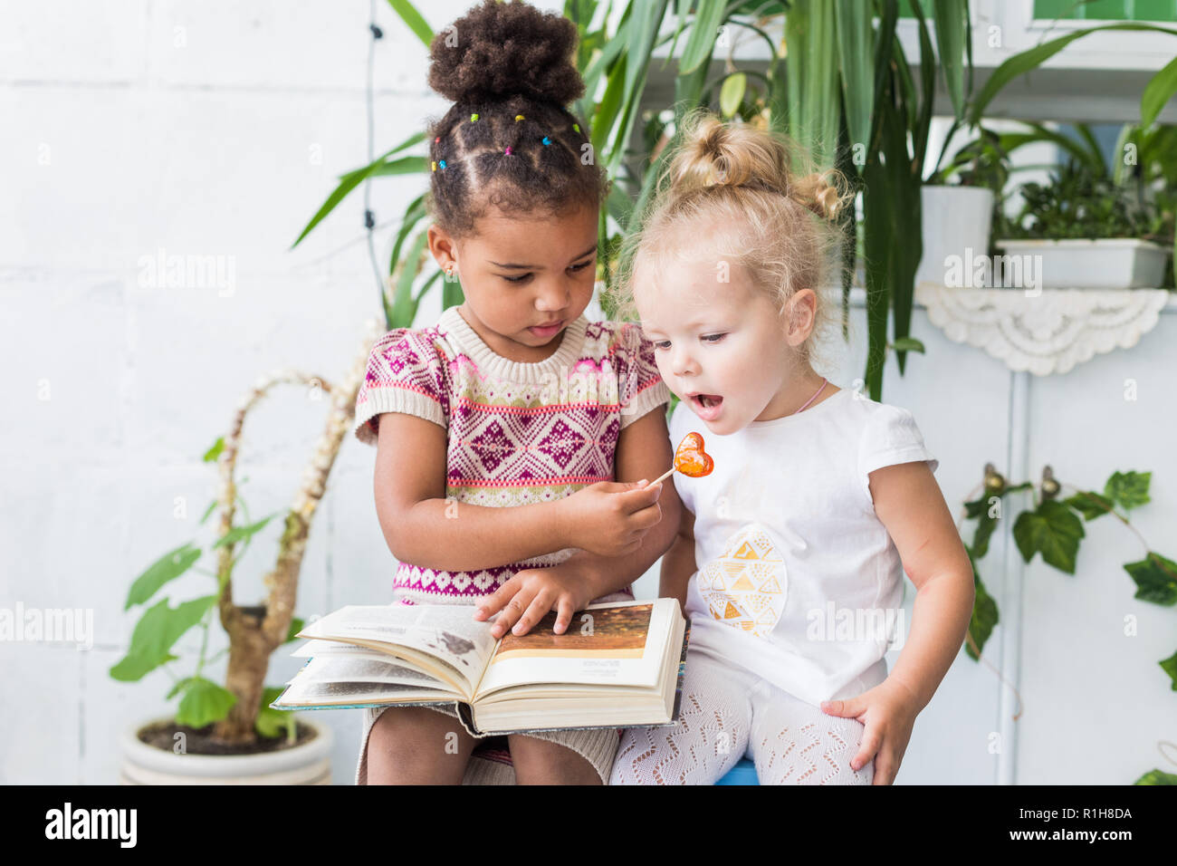 Two little girls read a book on the background of plants in pots ...