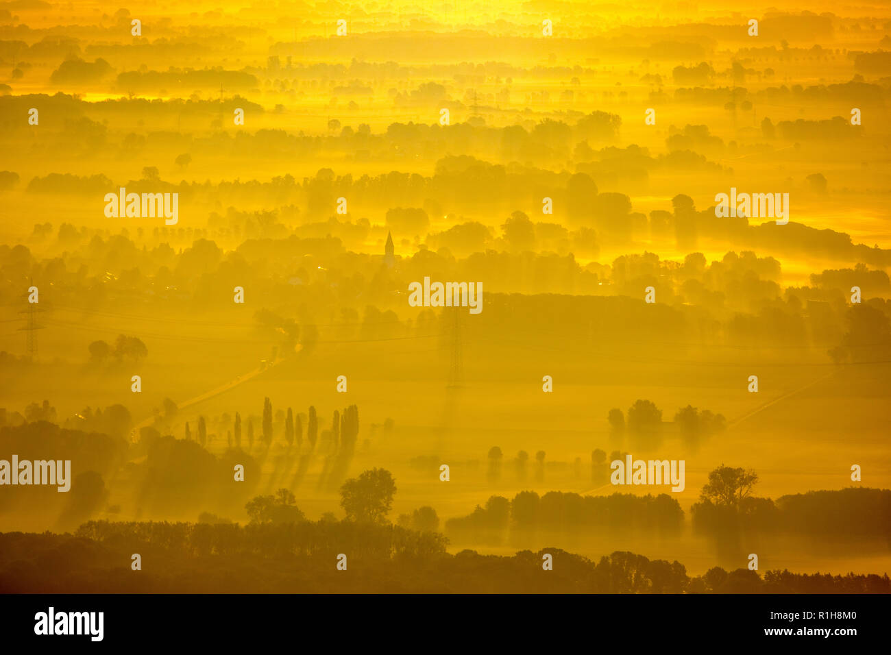 Landscape in the morning sun, staggered rows of trees, view from Hamm ...