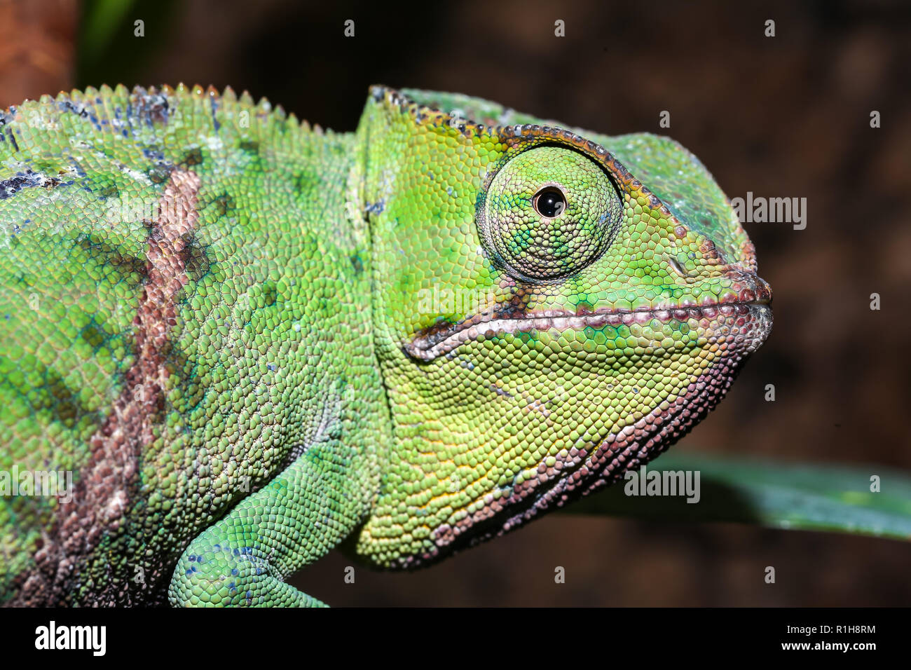 Petteri hi-res stock photography and images - Alamy