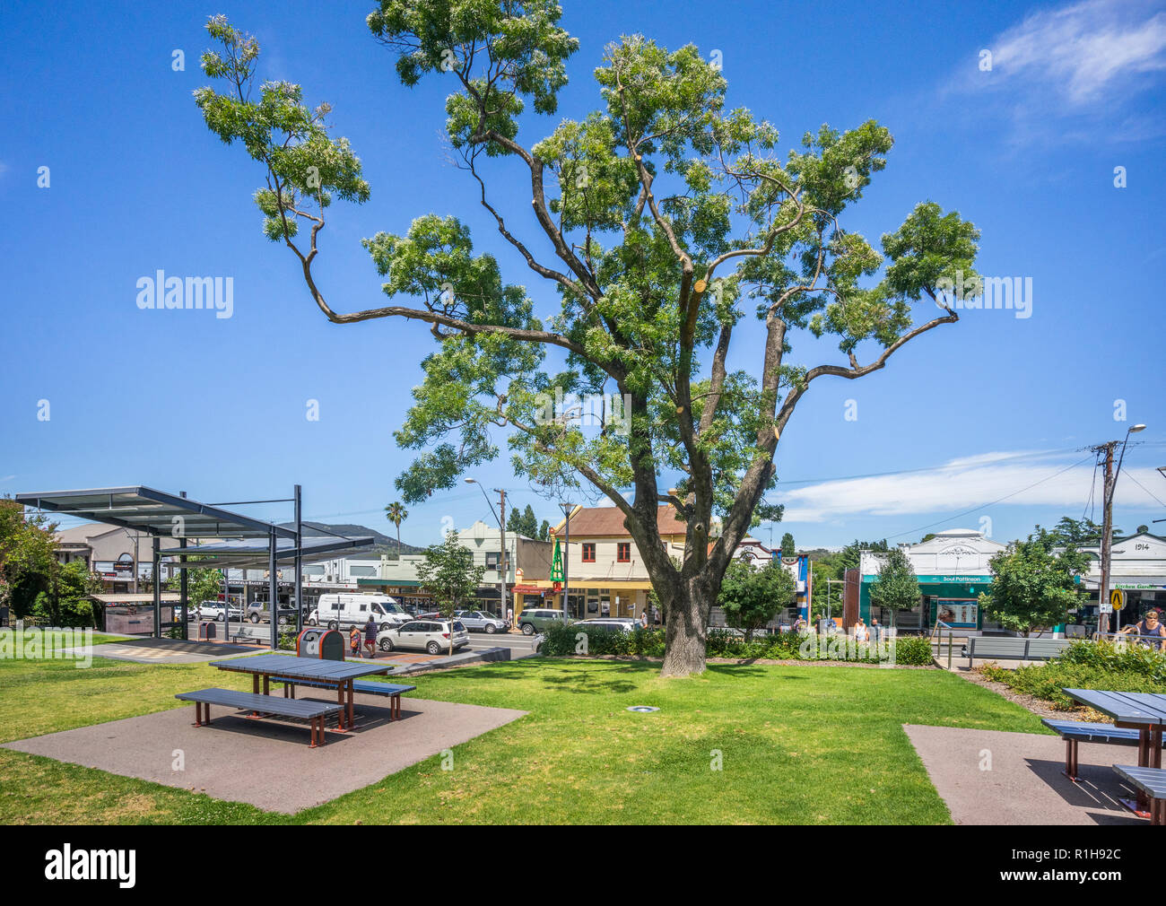 Tenterfield hi-res stock photography and images - Alamy